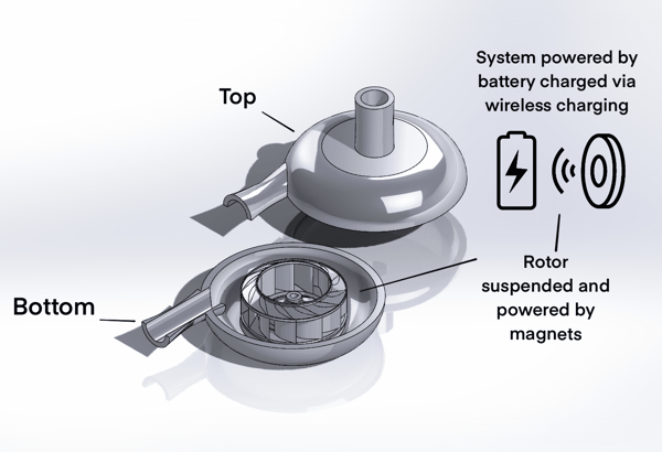 Designing Artificial Hearts: A Virtual Global Intern Blog